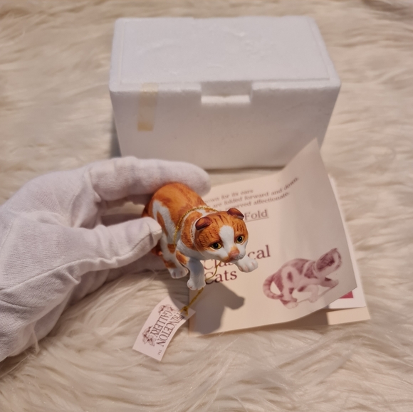 Princeton Gallery | Art | 99 Princeton Gallery Scottish Fold The ...